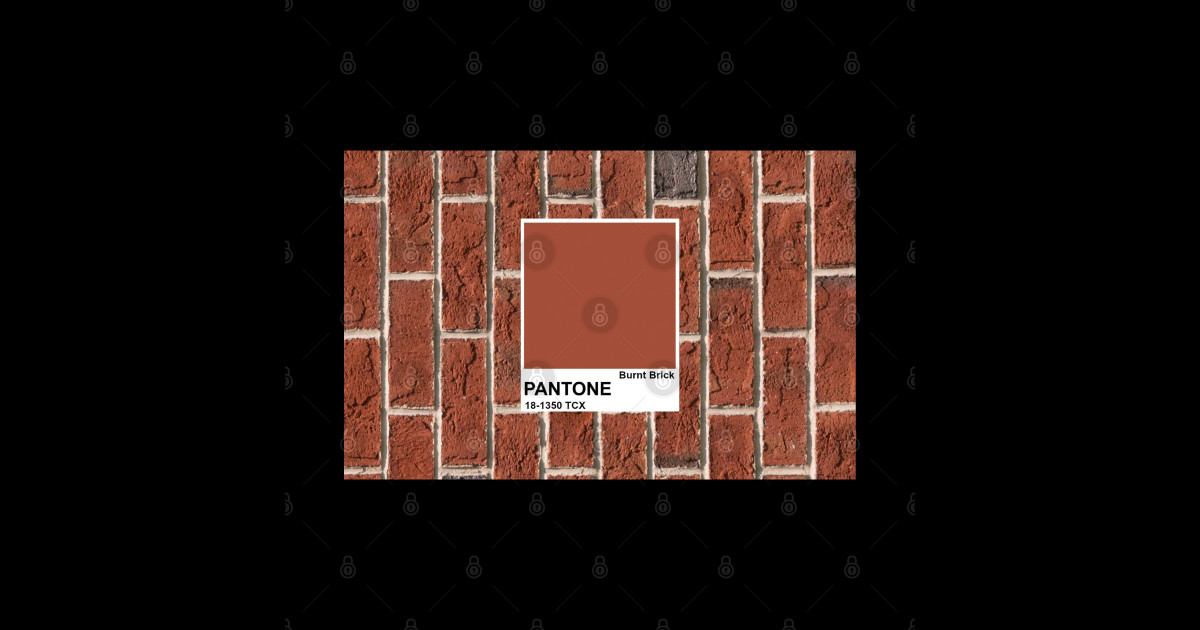 Burnt brick color - Pantone Color - Sticker | TeePublic