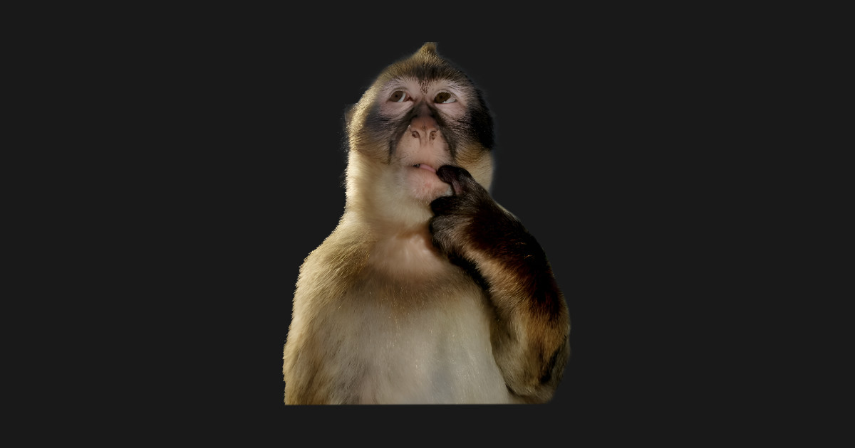 stupid monkey meme - Stupid Monkey Meme - T-Shirt | TeePublic