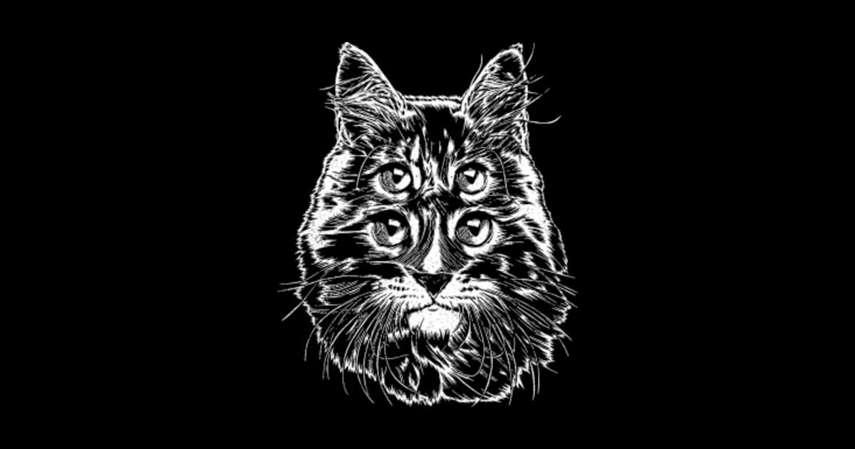 4 EYED CAT - Mistery - Sticker | TeePublic