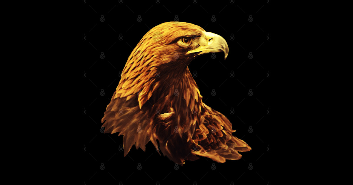 Golden Eagle - Eagle - Sticker | TeePublic