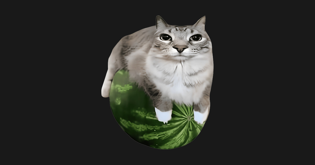 Watermelon Cat Silly, Cat Meme - Watermelon Cat Silly Cat - T-Shirt ...