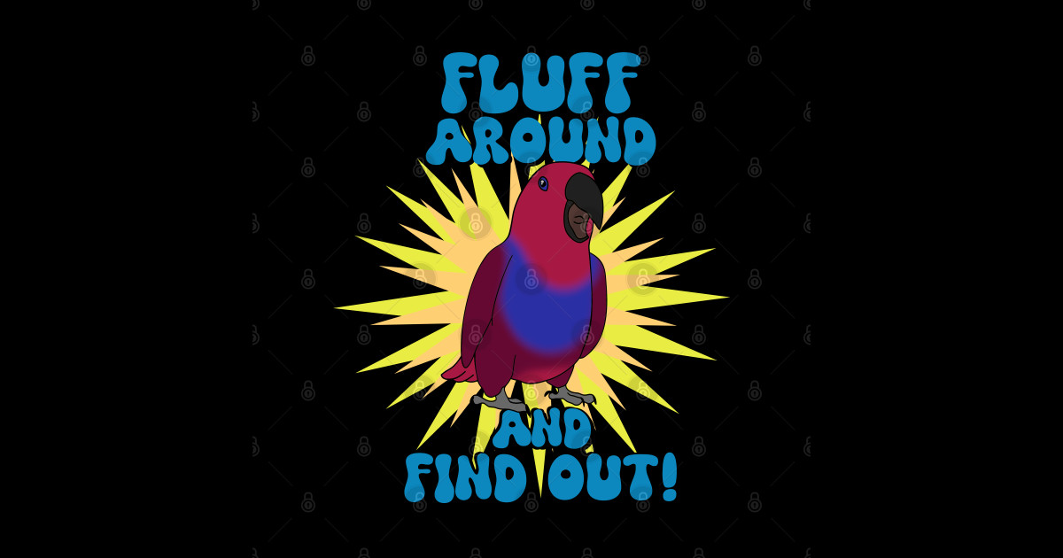 Fluff around and find out - female eclectus - Birb Memes - Sticker ...