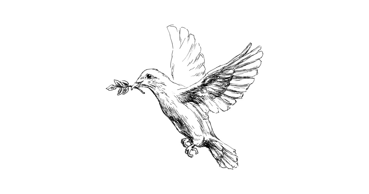 White Dove Illustration - Dove - Posters and Art Prints | TeePublic
