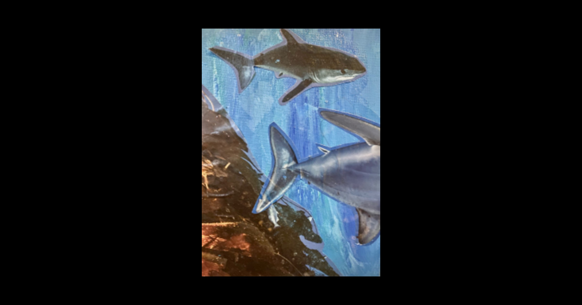 Shark Collage - Shark - Sticker | TeePublic