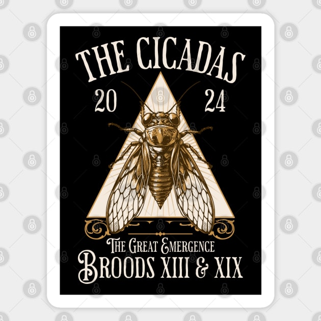 Cicadas 2024 - Brood XIX Brood XIII - Funny Cicada Lover - Cicadas 2024 ...