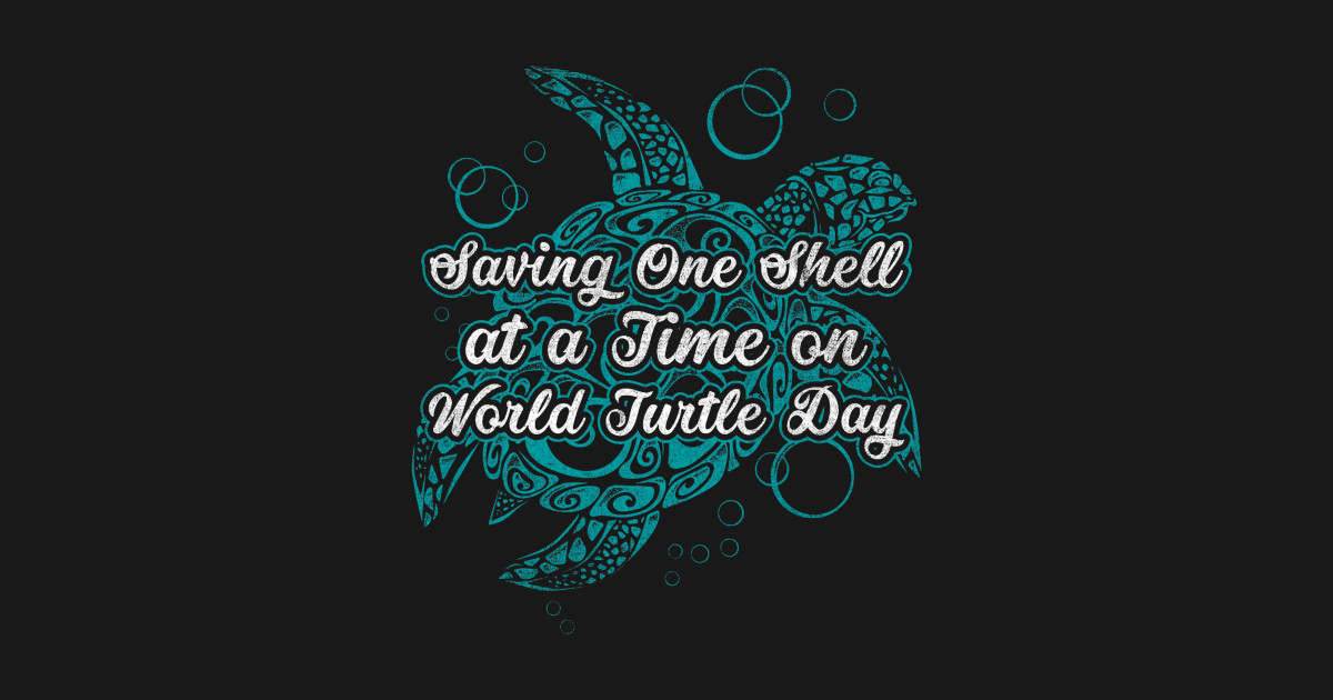Turtle Pet Saving One Shell At A Time On World Turtle Day Sae Tortoise ...