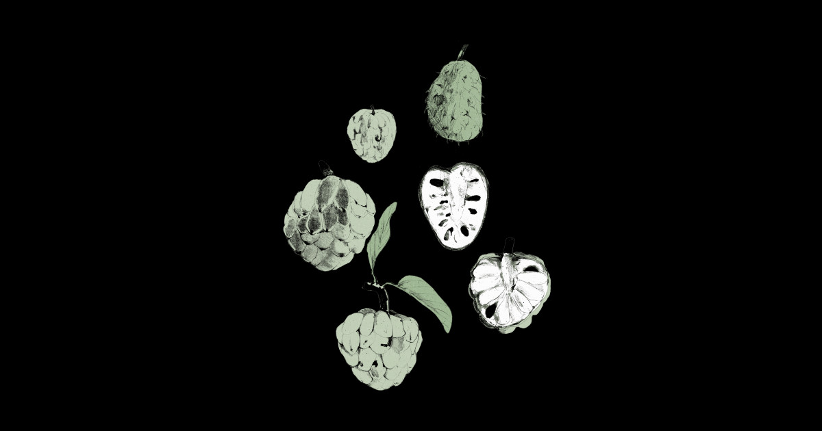 Custard Apple - Fruit - Sticker | TeePublic