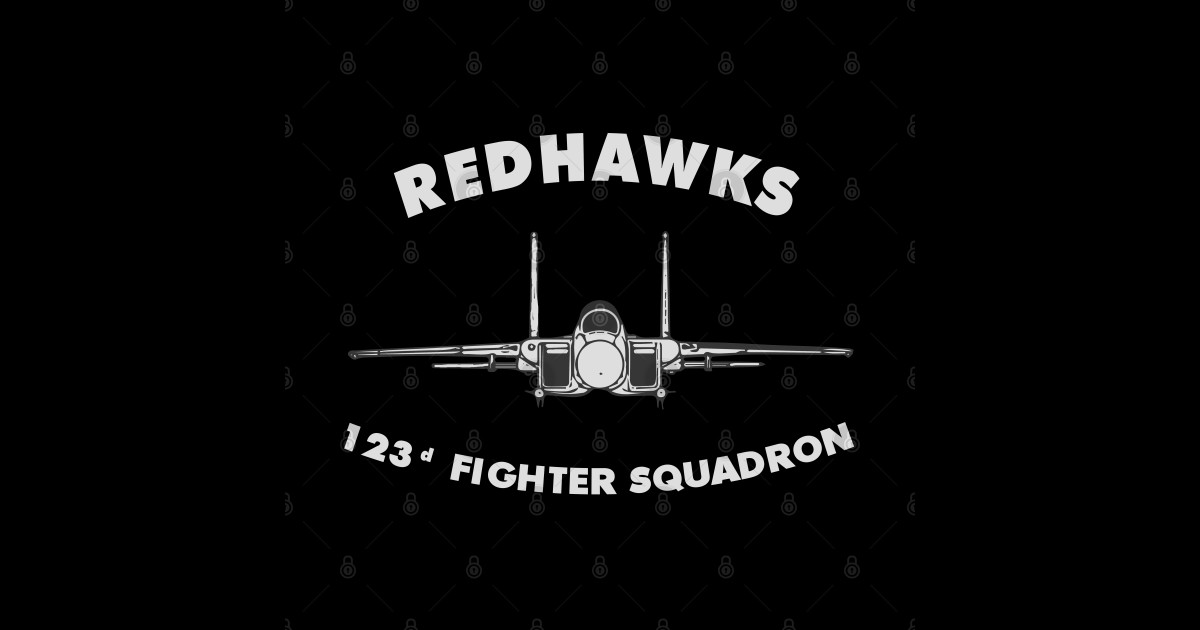123rd Fighter Squadron USAF Redhawks F15 - Fighter - T-Shirt | TeePublic