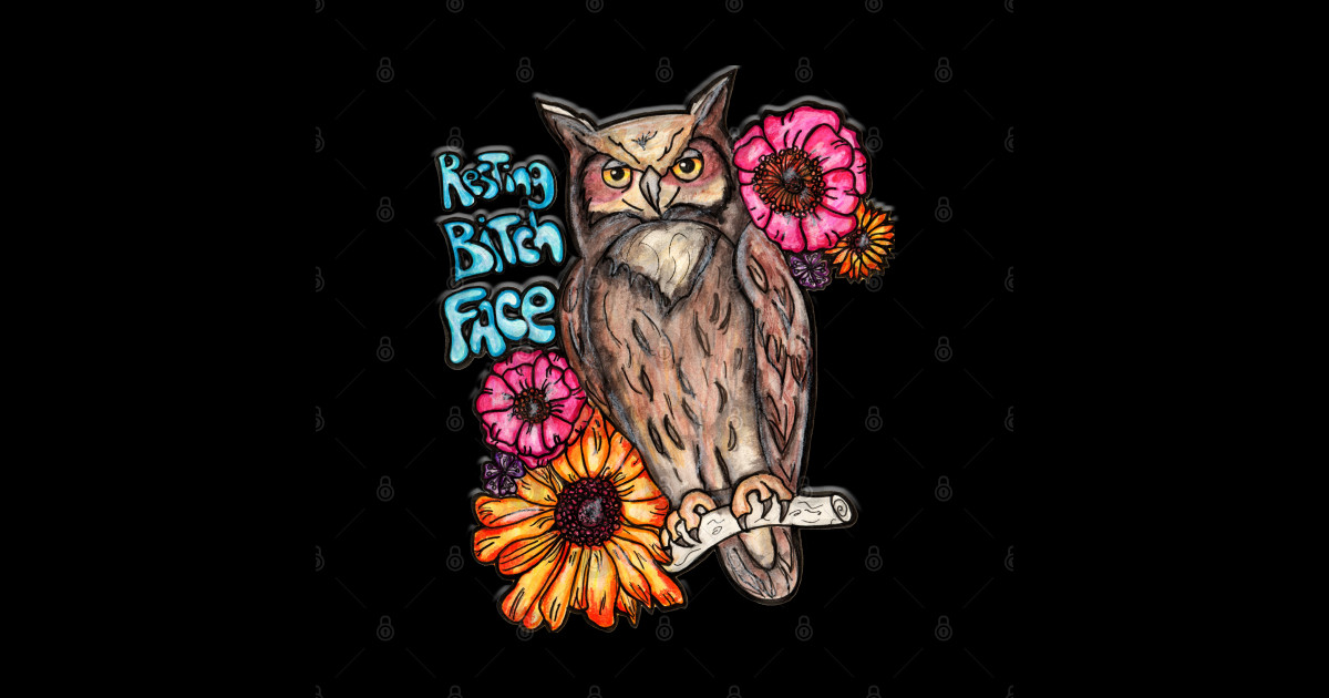 Resting Owl Face - Owl Illustration - Sticker | TeePublic
