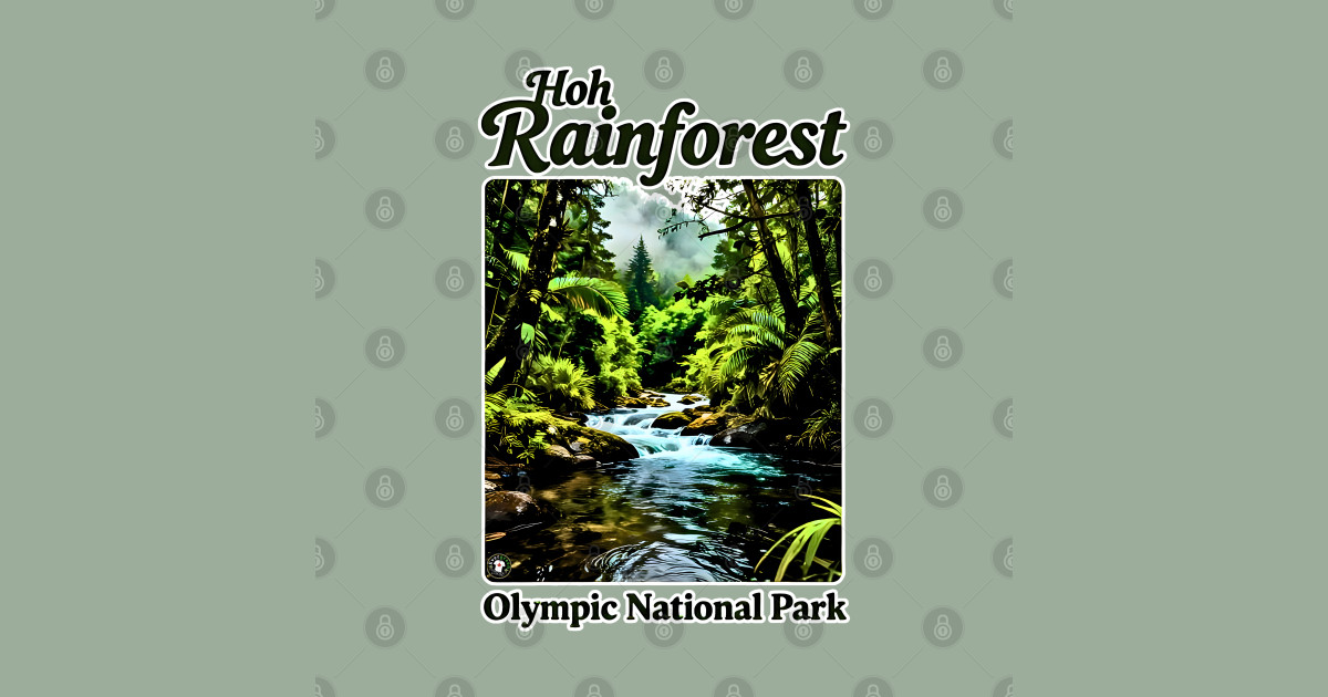 Hoh Rainforest Olympic National Park V2 - Hoh Rainforest Olympic ...