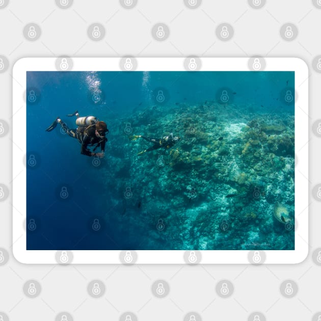 Wall diving - Scuba - Sticker | TeePublic