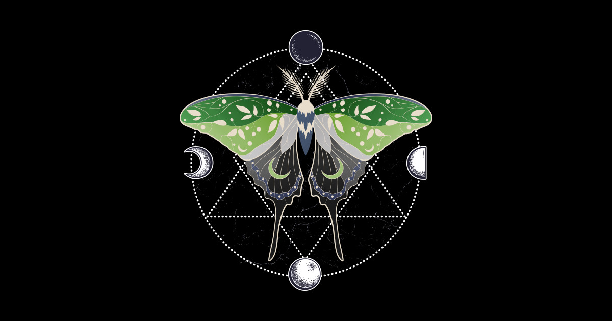 Aromantic Luna Moth Celestial Cottagecore LGBT Pride Flag - Aromantic ...
