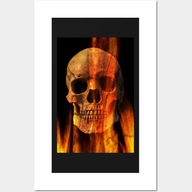Human Skull, Skeleton, Design - Skull - Posters and Art Prints | TeePublic