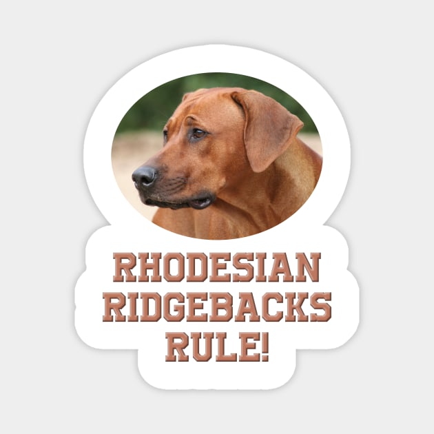 Rhodesian Ridgebacks Rule! - Rhodesian Ridgeback - Magnet | TeePublic