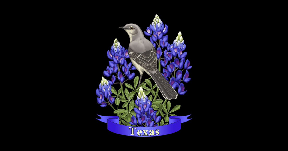 Texas State Mockingbird and Bluebonnet Flower - Texas - Sticker | TeePublic