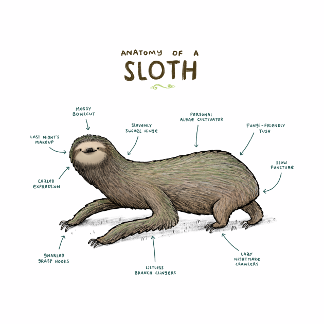Anatomy of a Sloth - Sloth - Baseball T-Shirt | TeePublic