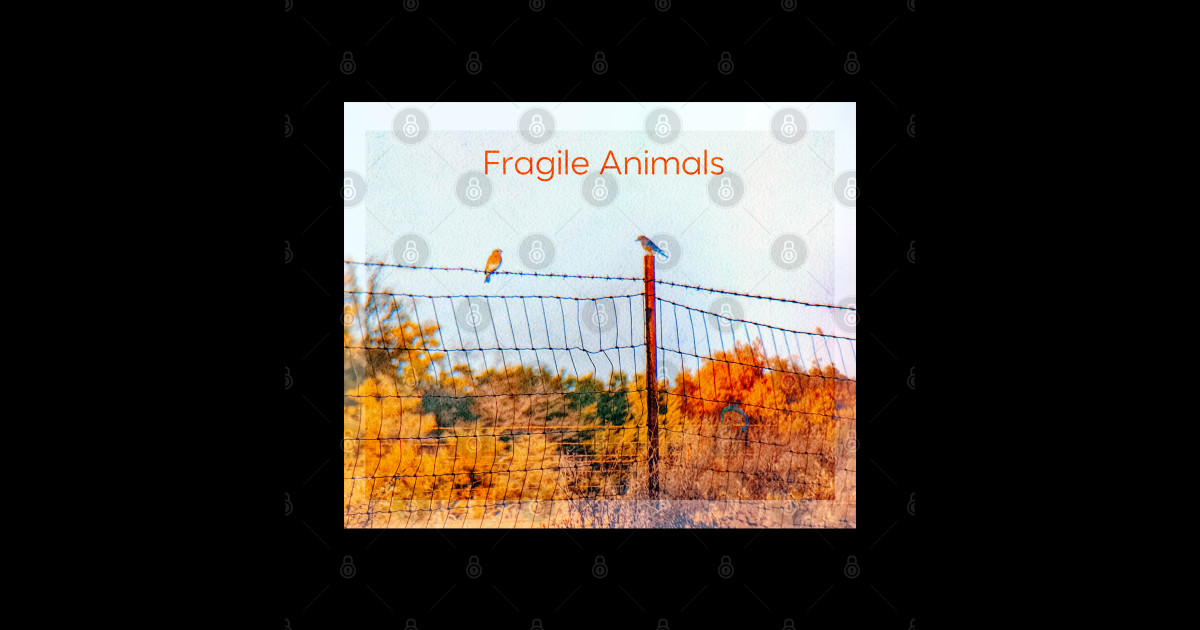 FRAGILE ANIMALS - Fragile Animals - Sticker | TeePublic