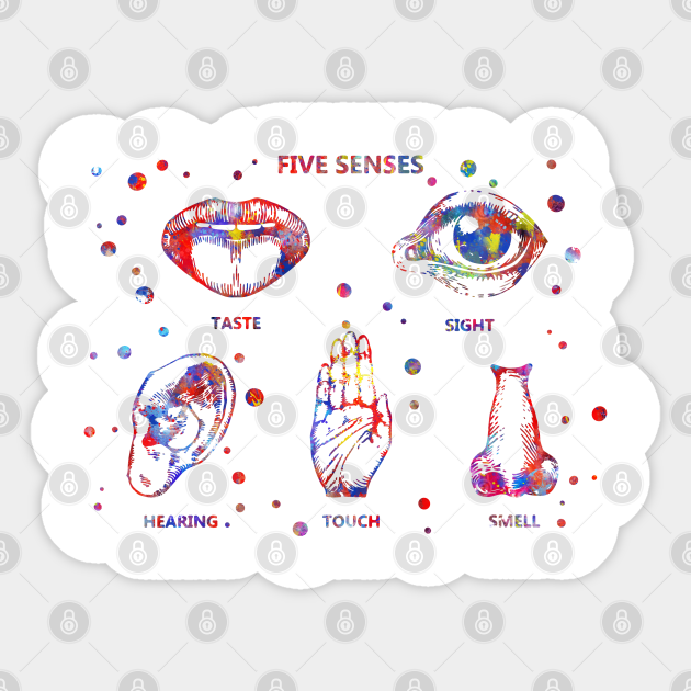 Five senses - Five Senses - Sticker | TeePublic