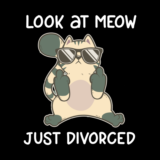 Divorce Sarcastic Meme Joke Fun Divorcee Quotes Party Gift - Funny ...