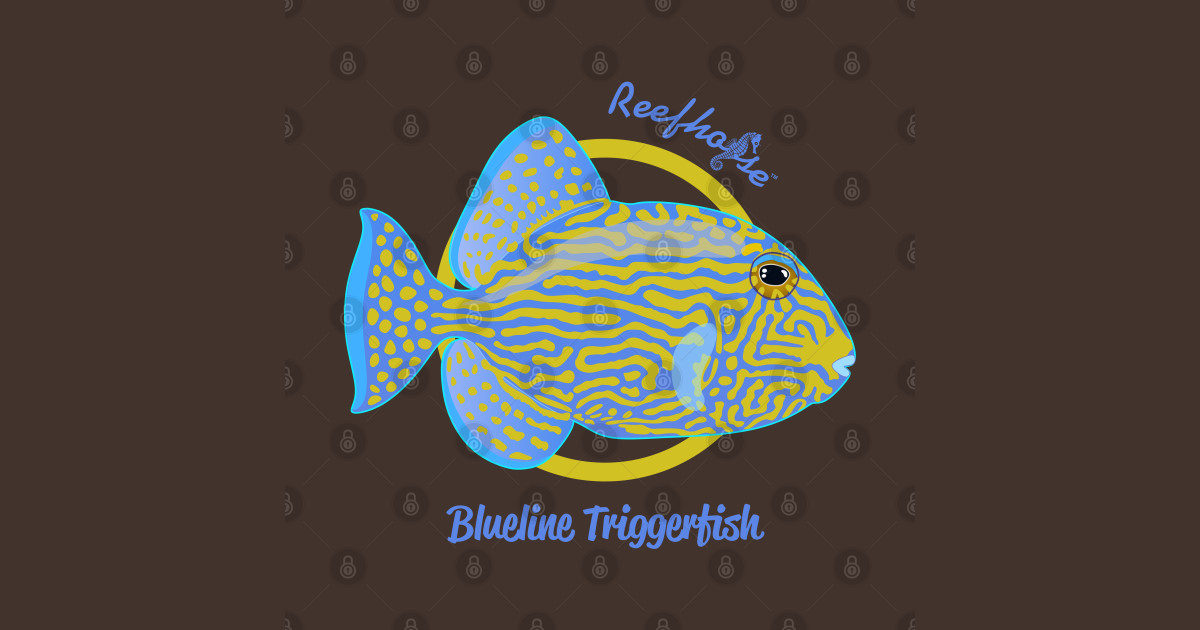 Blueline Triggerfish - Reefhorse - T-Shirt | TeePublic