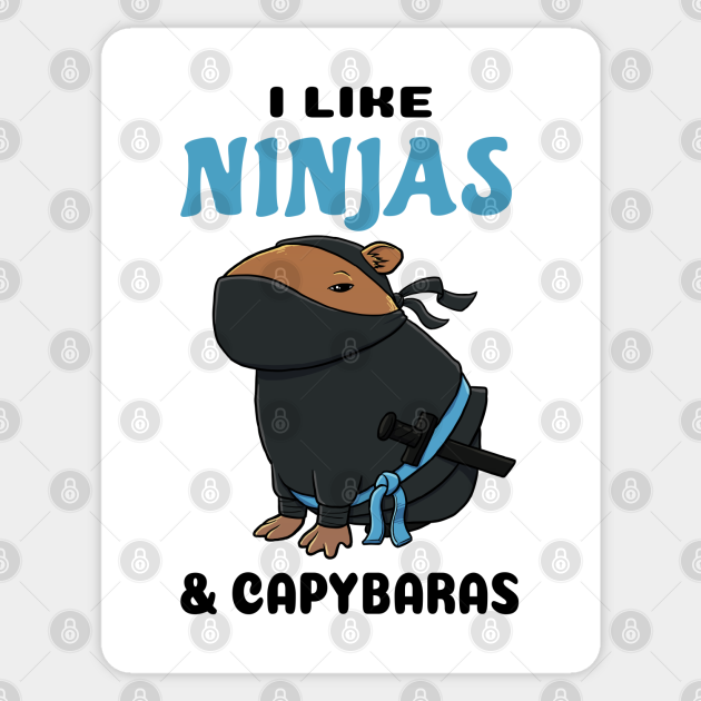 I like Ninjas and Capybaras - Funny Capybara - Sticker | TeePublic