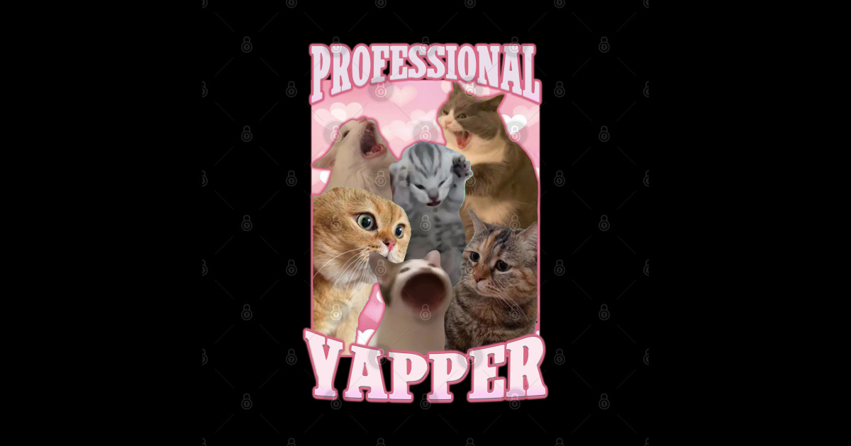 Professional Yapper Funny Cat Meme Gift for Her Goofy Ahh Tshirt Fluent ...