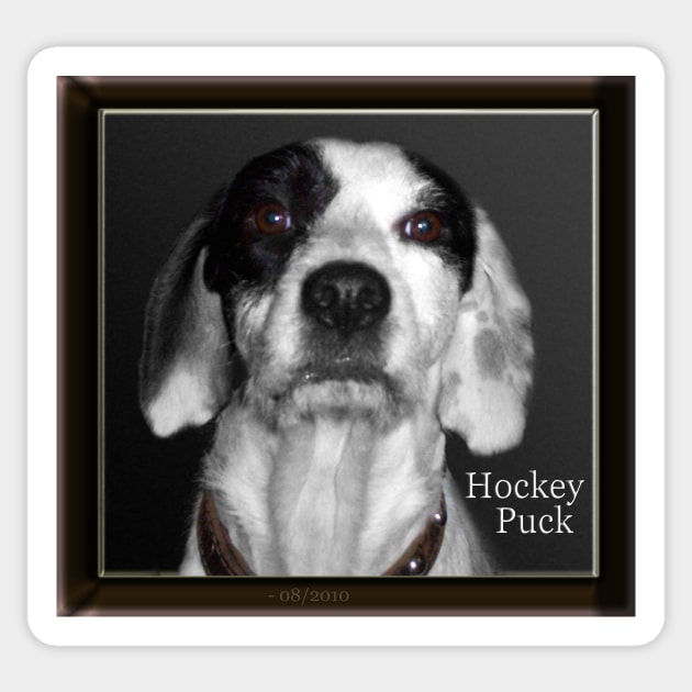 Hocky Puck - Pets - Sticker | TeePublic
