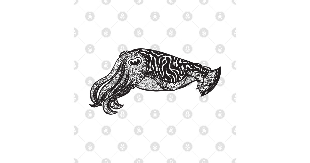 Cuttlefish Ink Art - light colors - Cuttlefish - T-Shirt | TeePublic