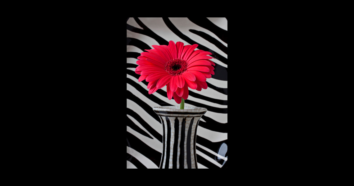 Red Mum In Striped Vase - Mums - Sticker | TeePublic