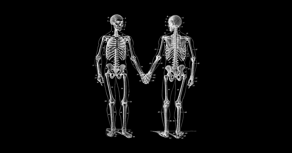 Skeletons Holding Hands - Skeleton Illustration - Sticker | TeePublic