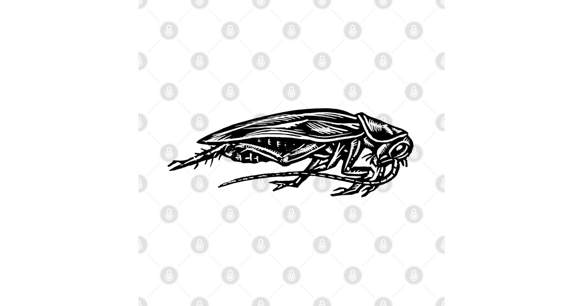 Cockroach (Side View) - Cockroach - T-Shirt | TeePublic