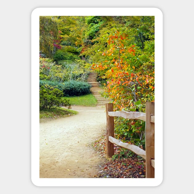 autumn leaves along a pathway - Along - Sticker | TeePublic