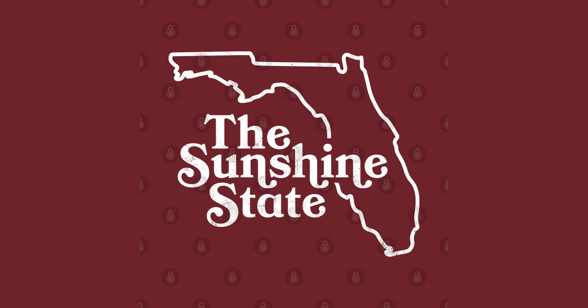 Florida The Sunshine State Vintage State Outline - Sunshine State - T ...
