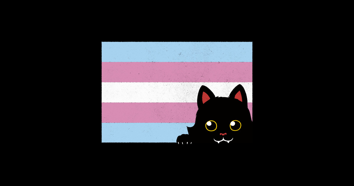 Peeking Cat Trans Flag by Tobe Fonseca - Trans Flag - Sticker | TeePublic