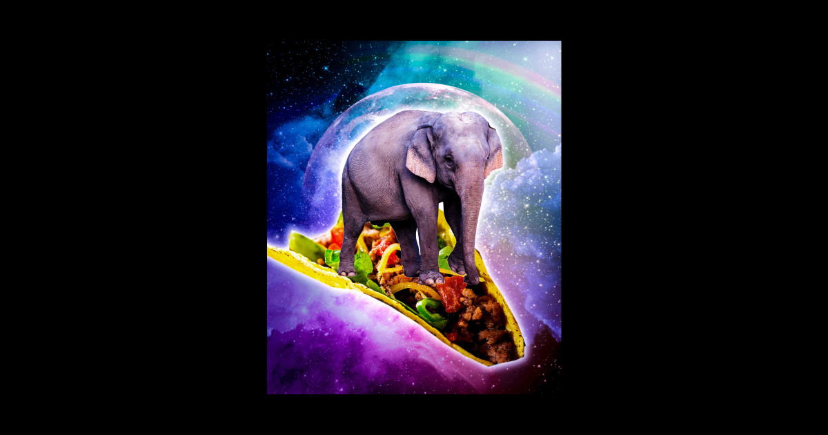Elephant Riding Taco In Space With Rainbow - Space Taco Elephant ...