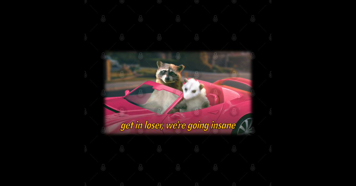 Get in loser, we're going insane raccoon possum word art - film quote ...