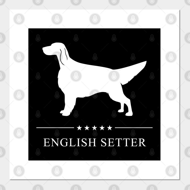 English Setter Dog White Silhouette - English Setter - Posters and Art ...