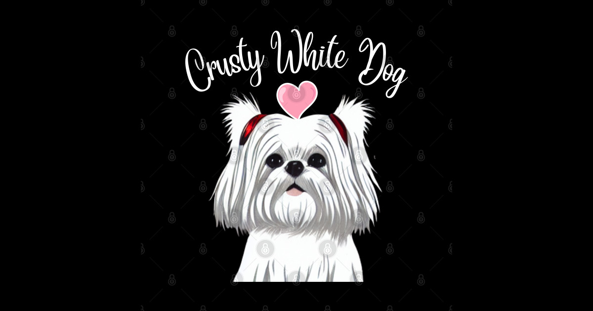 Cute and Fluffy White Maltese Shih Tzu I Love My Crusty White Dog Puppy ...