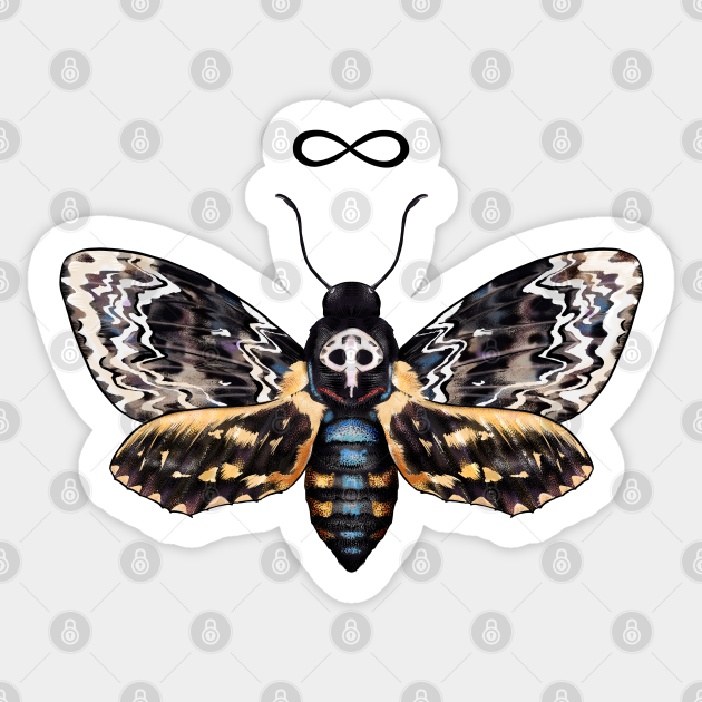 Death head hawk moth - Death Head Moth - Sticker | TeePublic
