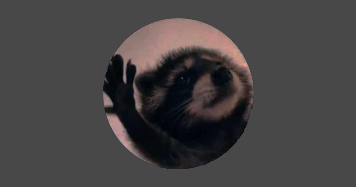 Pedro raccoon meme, dancing raccoon pedro meme trendy shirt, dancing ...