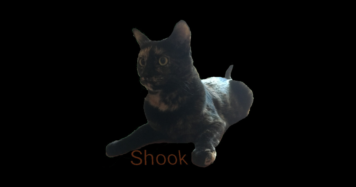 Shook - Shook - Sticker | TeePublic