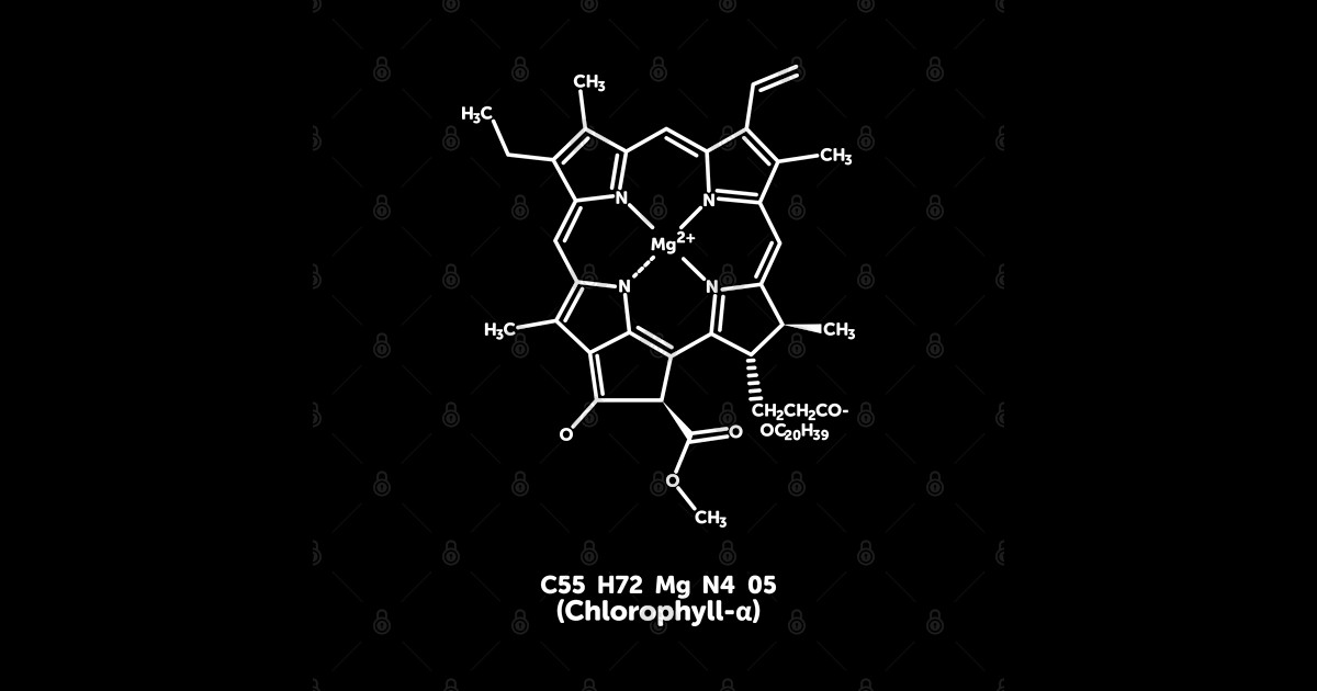 Chlorophyll Molecule - Chlorophyll Molecule - Sticker | TeePublic