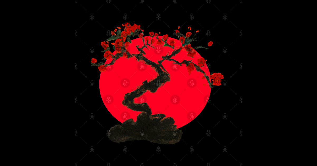 Sokan Traditional bonsai tree - Sumi inspired with an enso circle ...