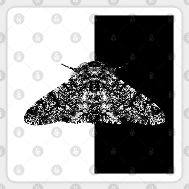 Peppered Moth - Peppered Moth - Sticker | TeePublic