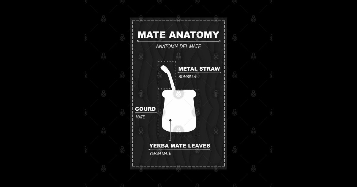 mate anatomy (anatomia del mate) - Yerba Mate - Posters and Art Prints ...