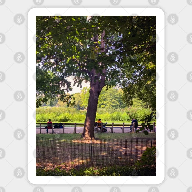 Central Park Manhattan New York City - Central Park - Sticker | TeePublic