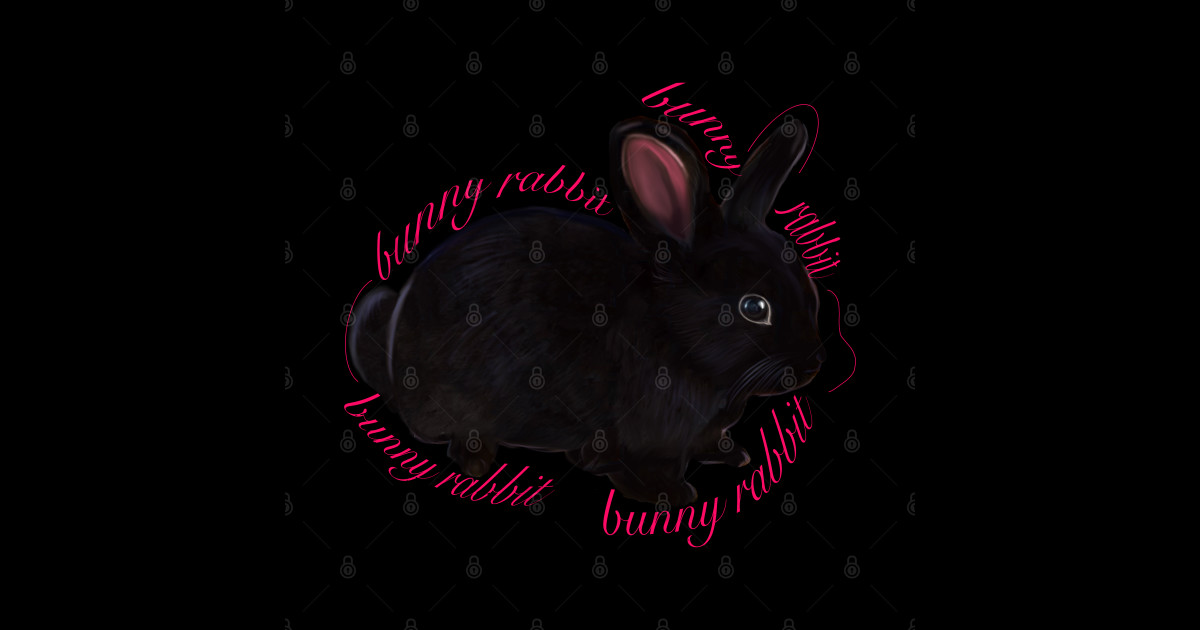 bunny rabbit - cute ebony dwarf mini lop bunny rabbit with text ...