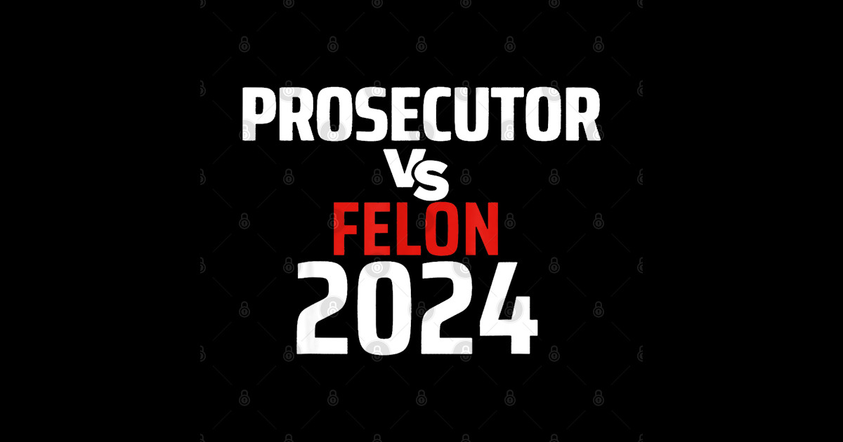 Funny Voting Election 2024 USA - Funny Voting Election 2024 Usa ...