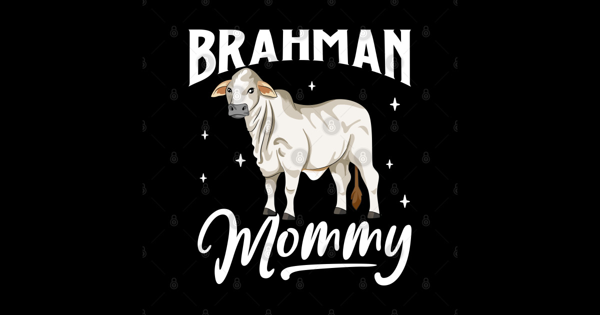 Brahman Mommy - Brahman cattle - Brahman Cattle - Sticker | TeePublic