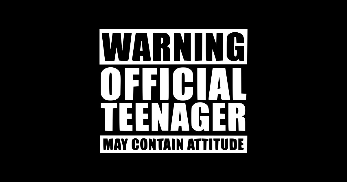Warning Official Teenager T Shirt 13th Birthday - Warning Official ...